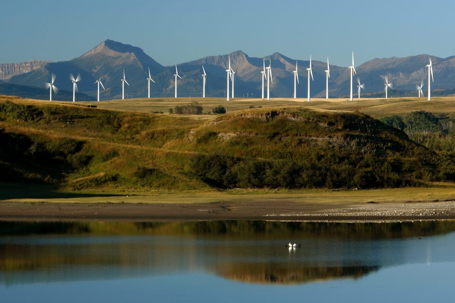 Alberta sees a renewables boom driven by tech companies, heavy emitters ...