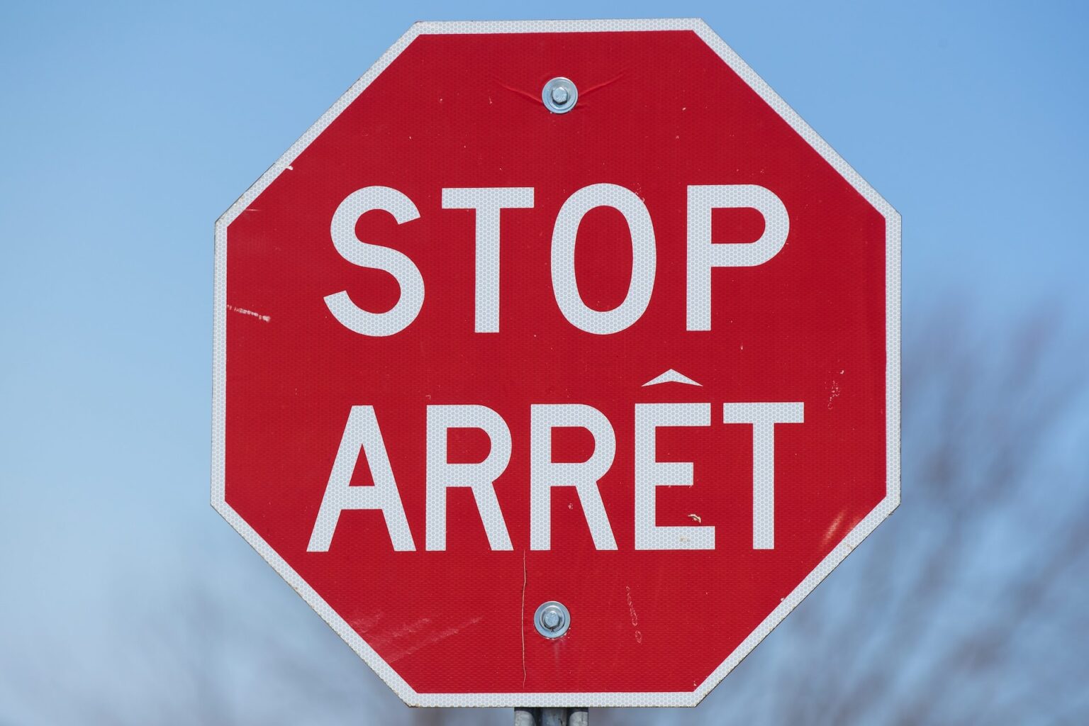 Ottawa rushes to build its own AI translator as government use of free ...